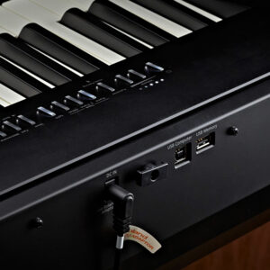 Roland FP-30X Digital Piano with Stand | ABOVO MARKETING